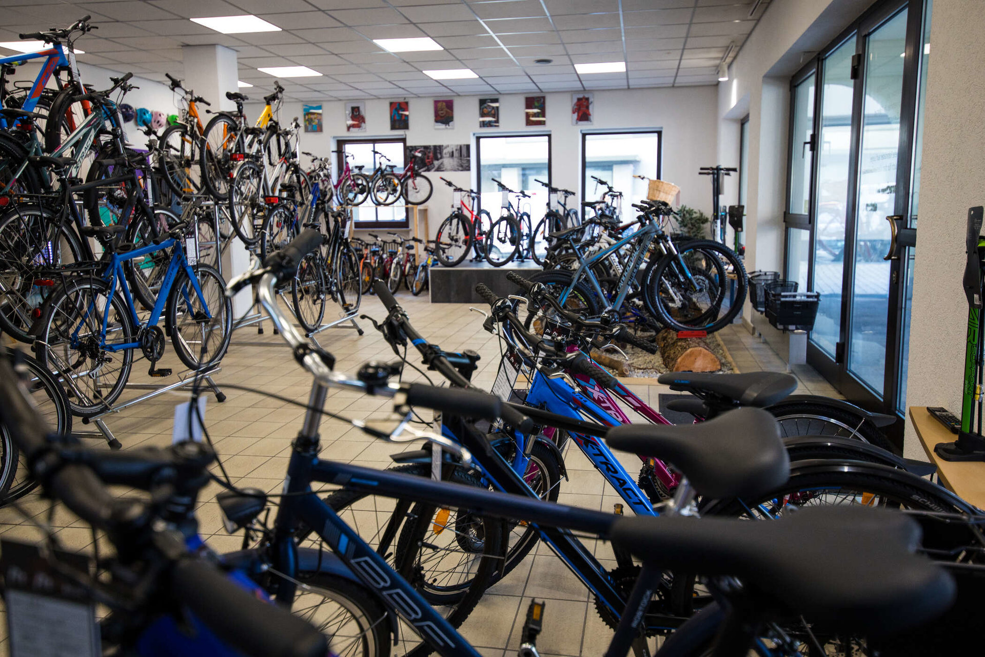 Momo Bike | Bobingen | Galerie